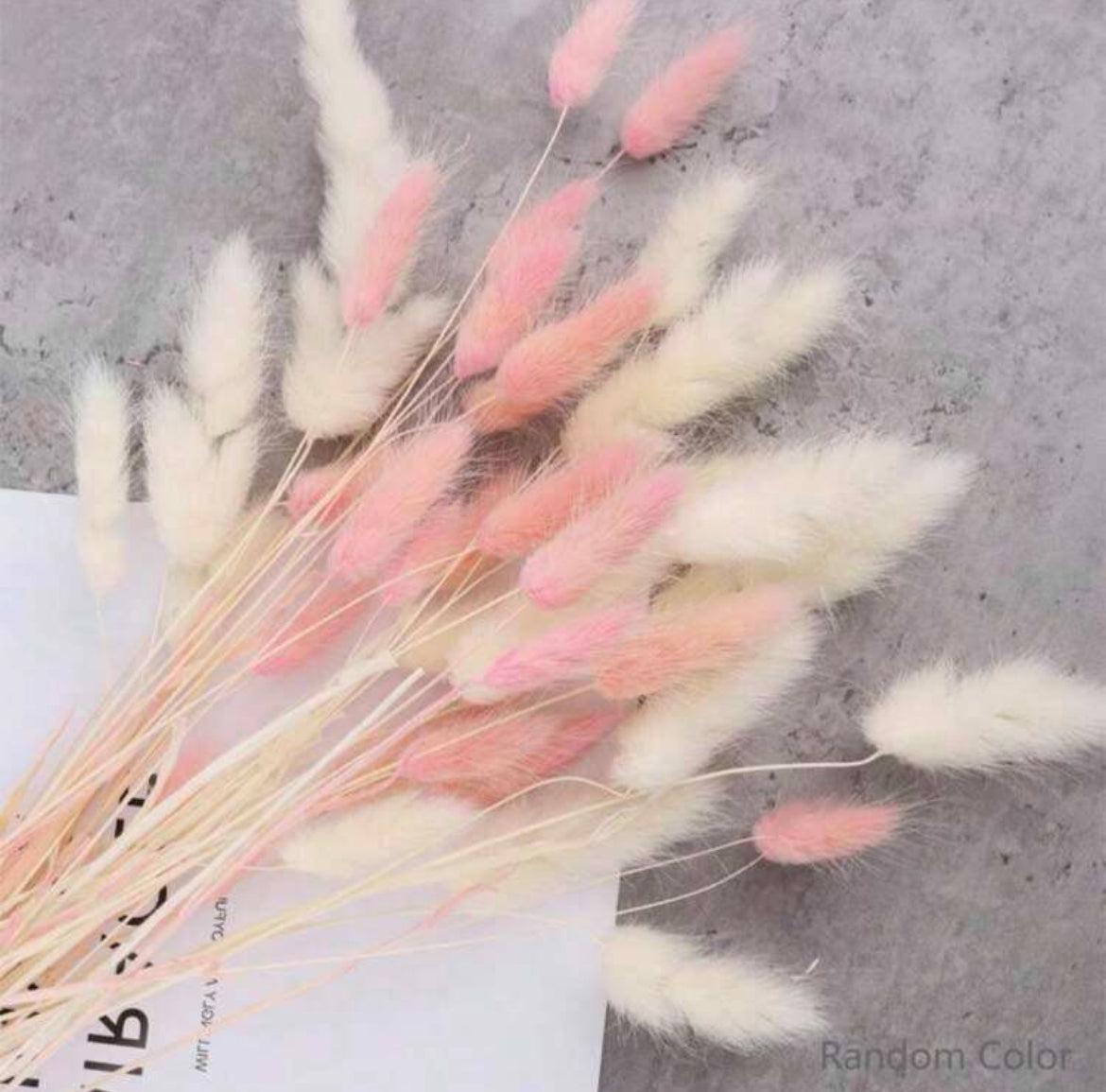 Cake Topper Bunny Tails White and Pink 60 Stems – Lamay