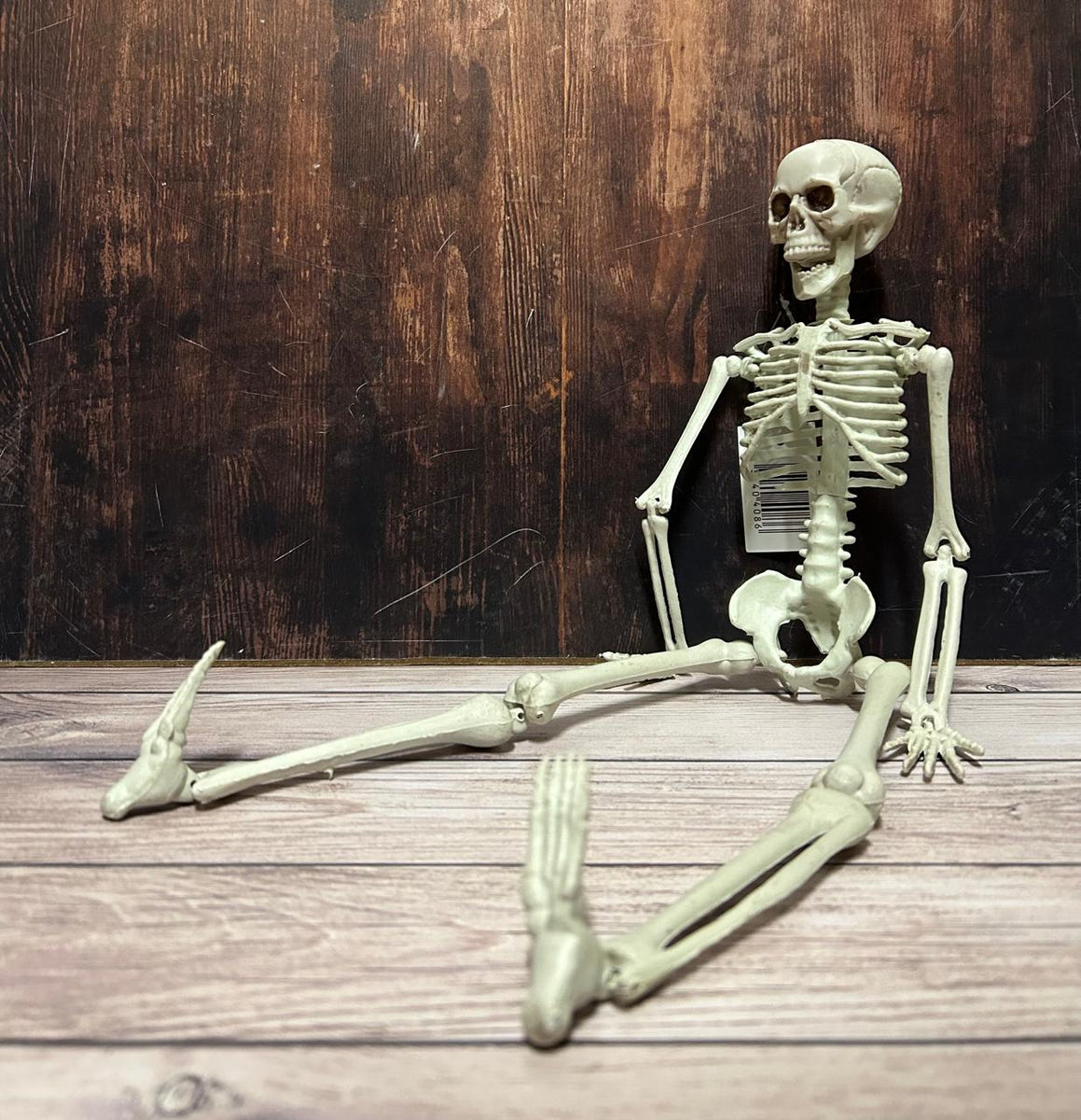 Plastic Hanging Skeleton – Lamay