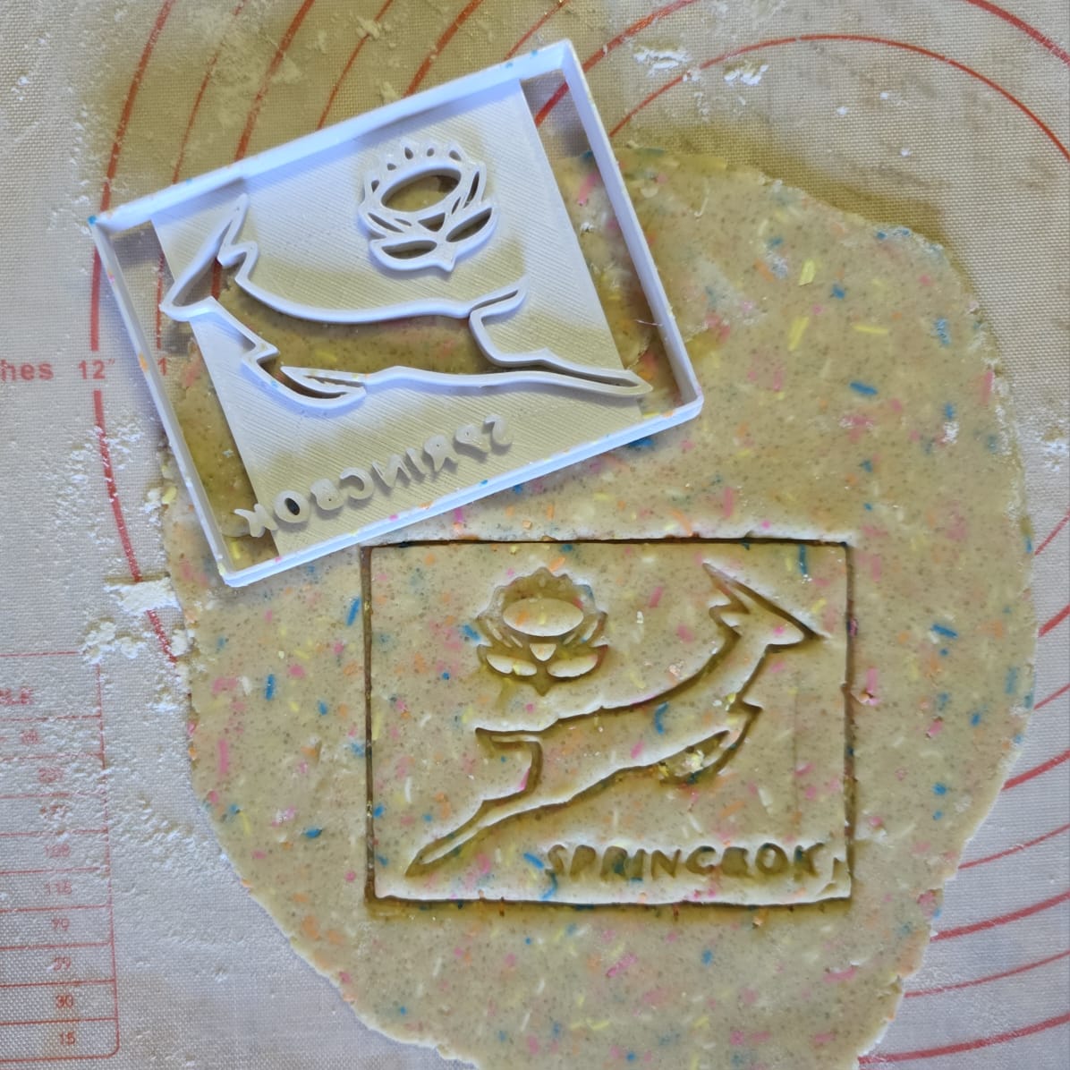 Plastic Cookie Cutter Rugby Springbok – Lamay